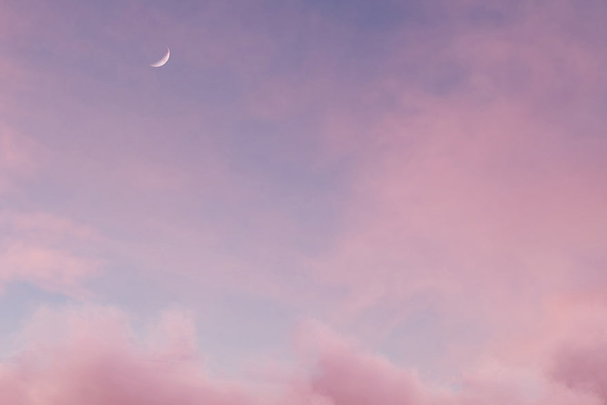 MOONLIGHT – SELVATICA