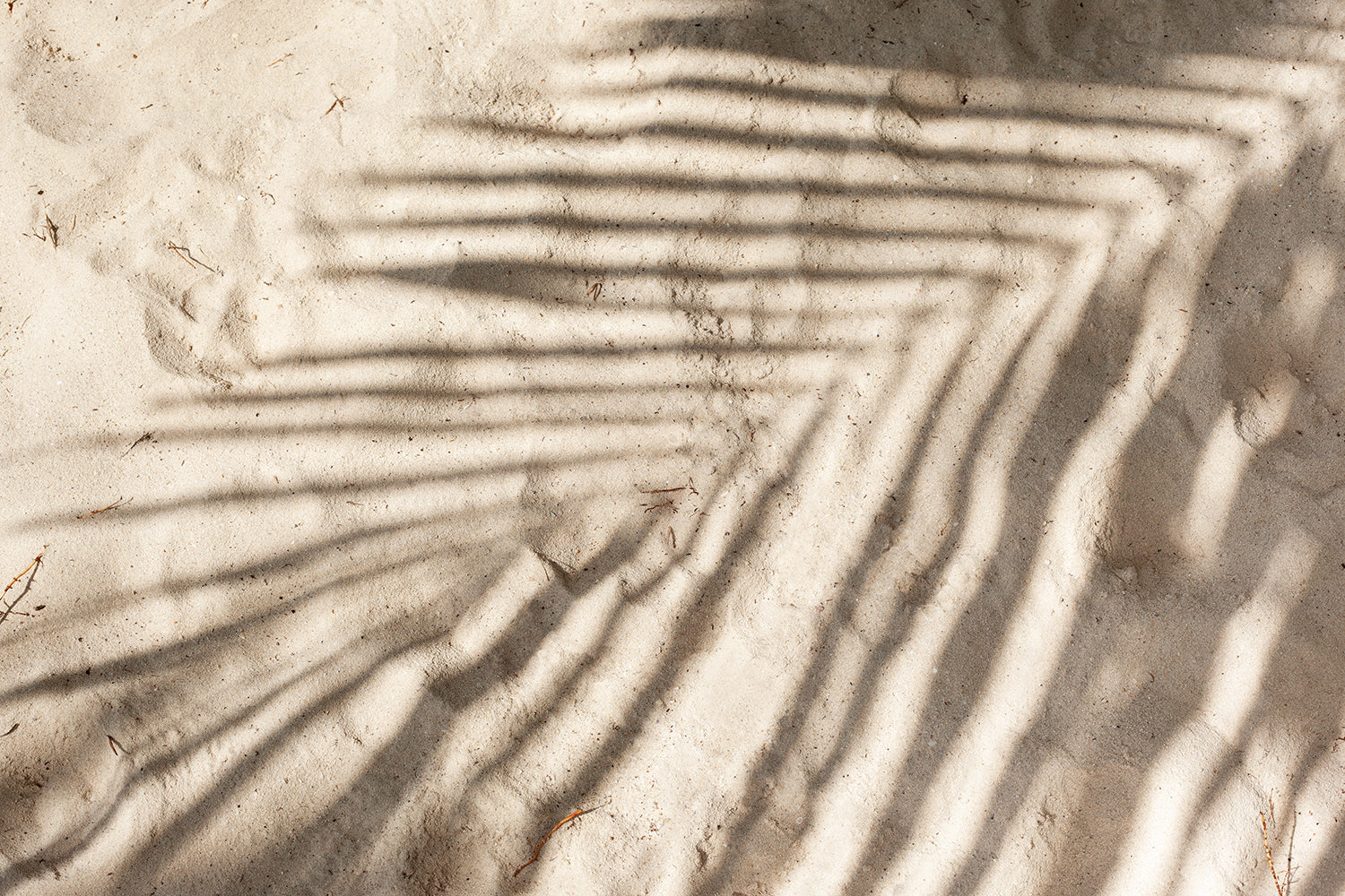NEW IN – SELVATICA